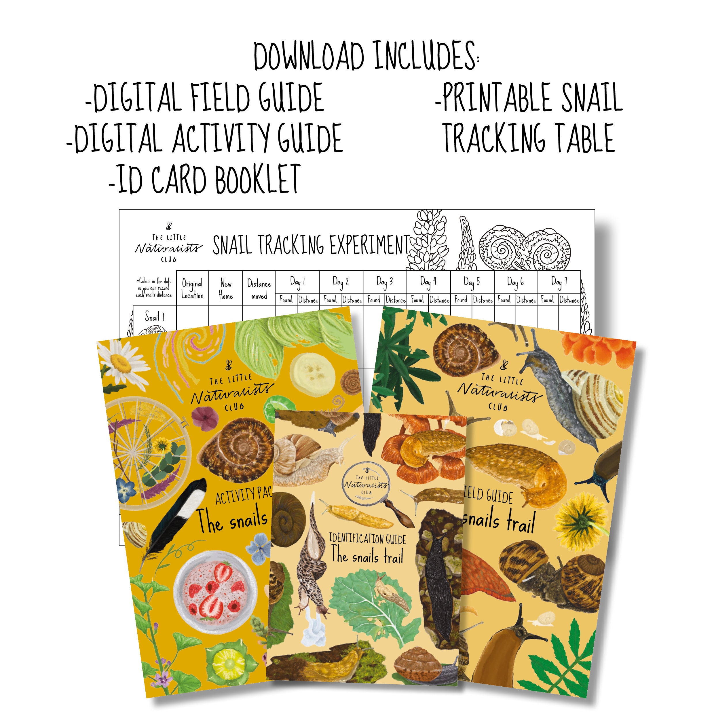 Complete Slugs and Snail Study Unit Summer Learning Pack - Etsy