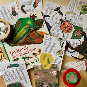 Complete Beetle Unit Study, Spring Learning Pack, Homeschool Bundle ...