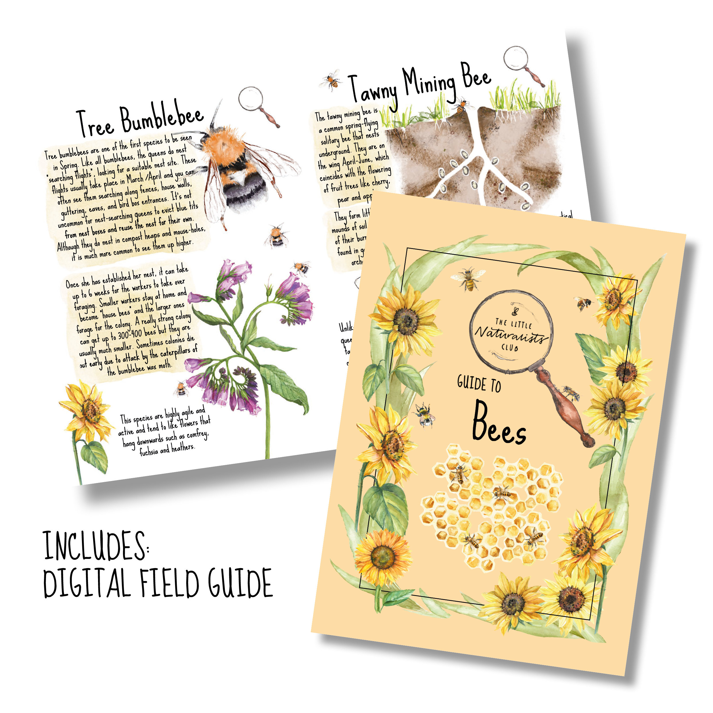 Complete Bee Unit Study, Spring Learning Pack, Bee Life Cycle, Bee ...