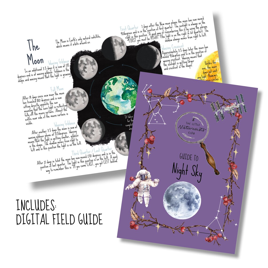 Night Sky Download Moon Phases Constellations Unit Study | Etsy