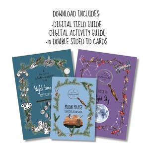 Night Sky Download, Moon Phases, Constellations Unit Study, Charlotte ...