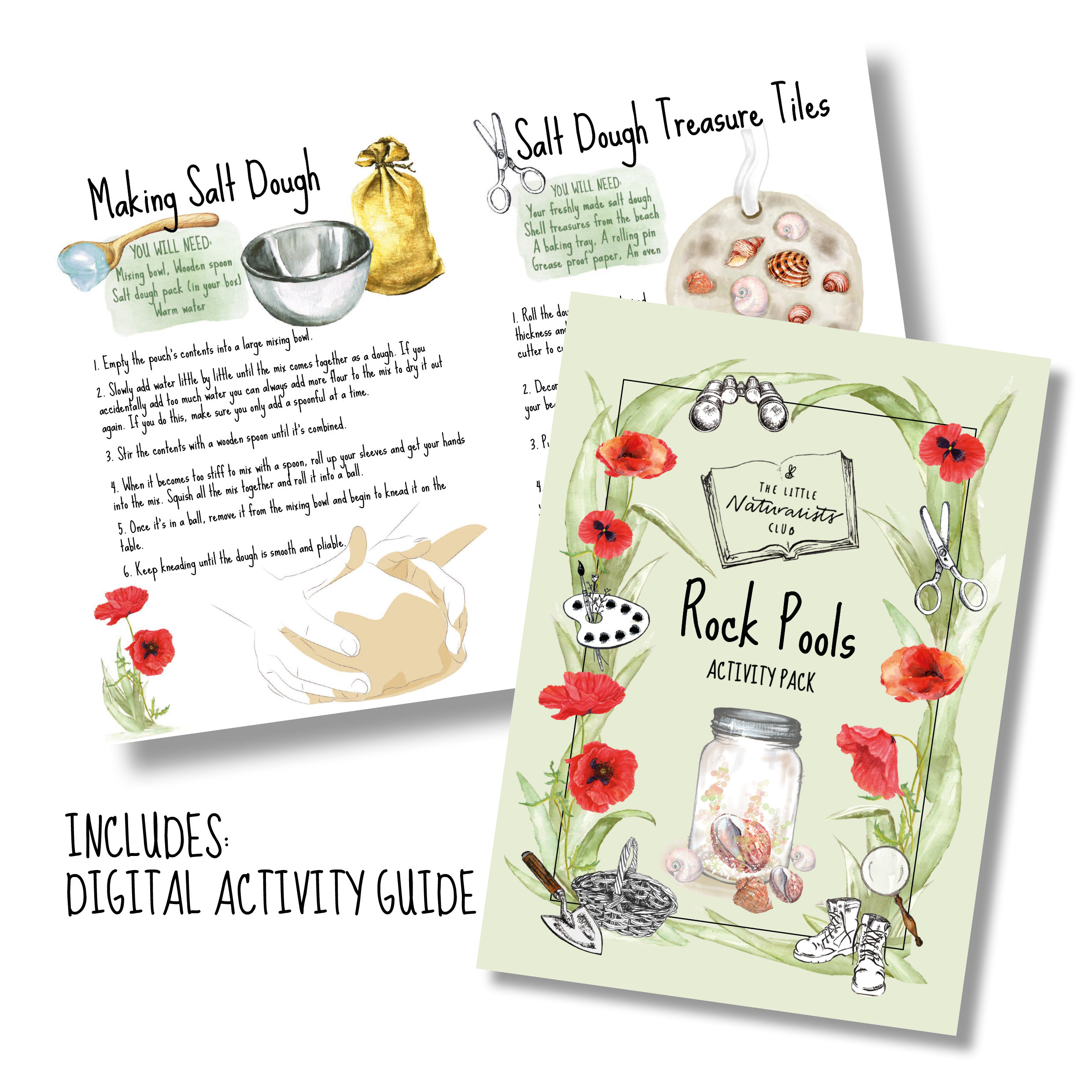 Complete Rockpool Unit Study, Wildlife Learning, Coastal Wildlife ...