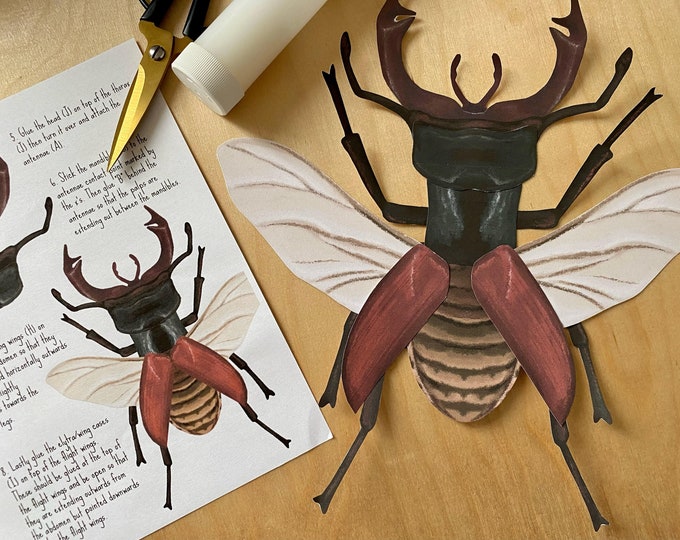 Stag Beetle Paper Taxidermy, Beetle Unit Study, Waldorf Homeschool ...