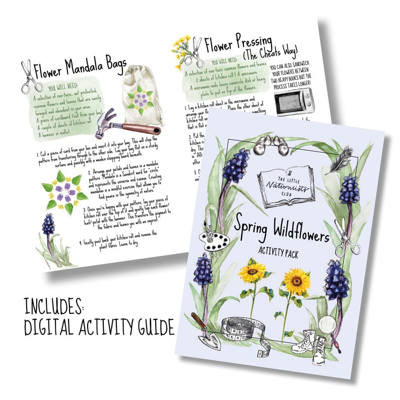 Complete Wildflower Study, Spring Unit Study, Homeschool Crafts ...