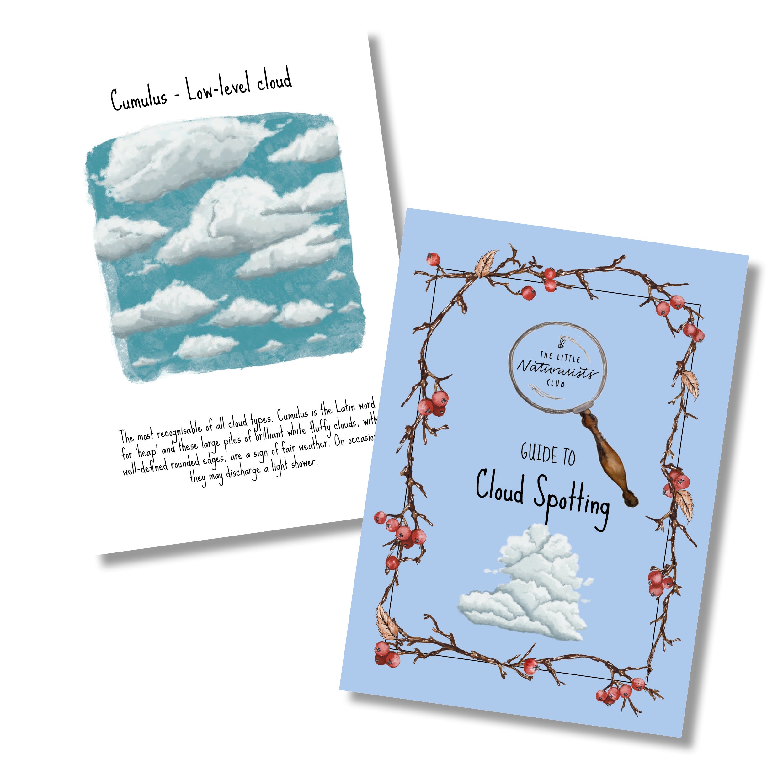 Cloud Unit Study, Cloud Identifier, Weather Unit Study, Weather Cards ...