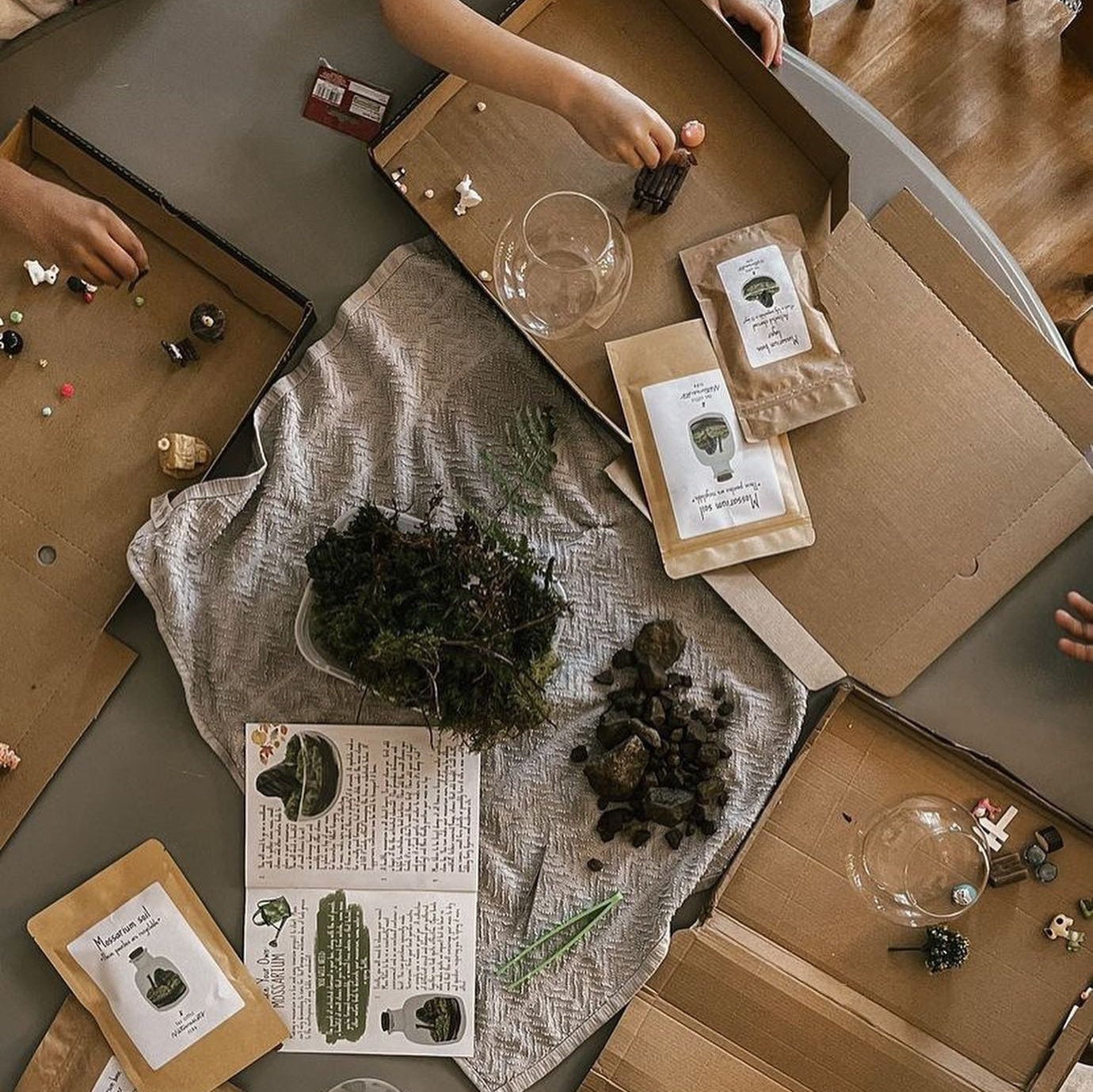 Moss and Lichen Nature Study, Homeschool Printable, Nature Unit, Mosses ...