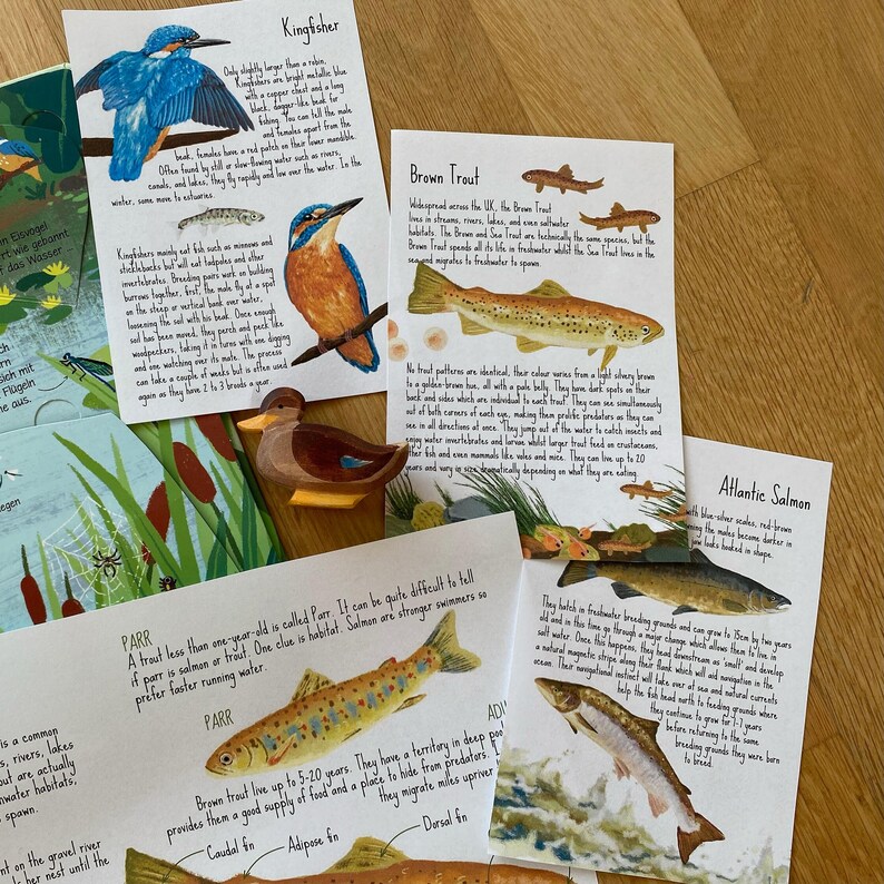 River Wildlife Identification Cards /booklet, Waterways Unit, Summer ...