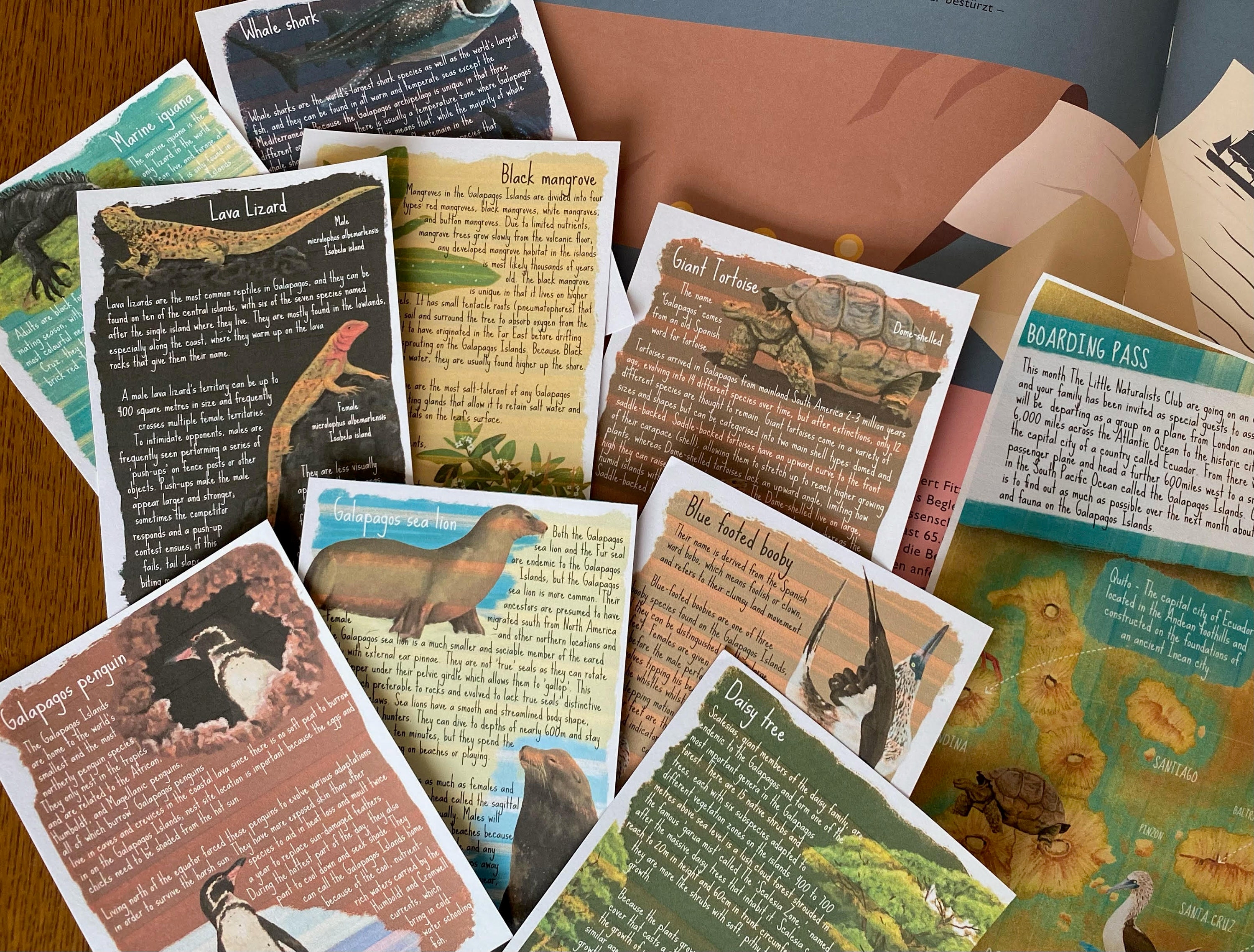 Galapagos Identification Cards / Booklet, Geography Unit, Wildlife ...