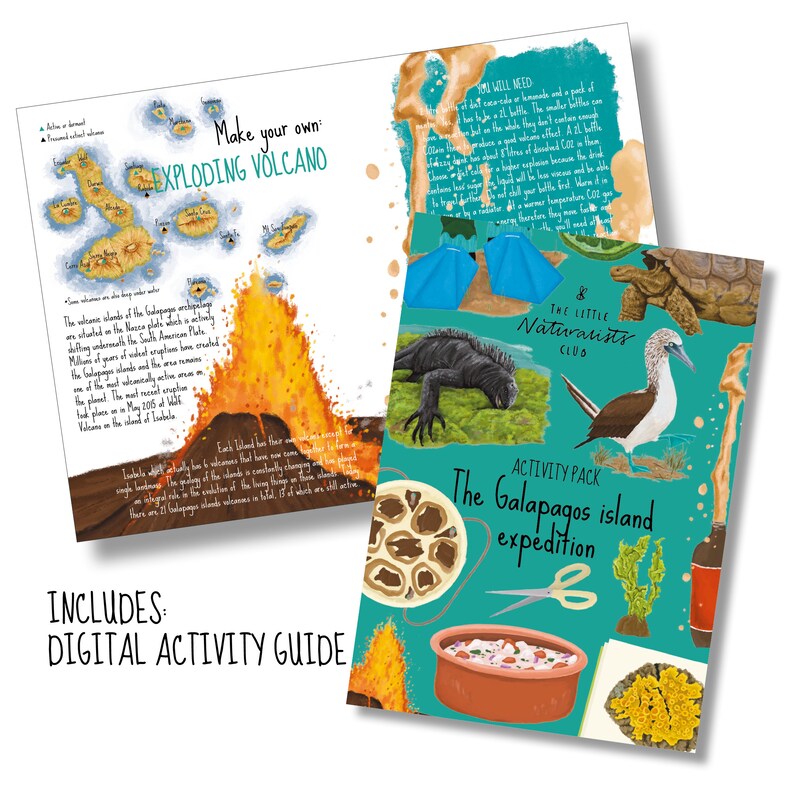 Complete Galapagos Study Unit Homeschool Bundle Kids Nature - Etsy