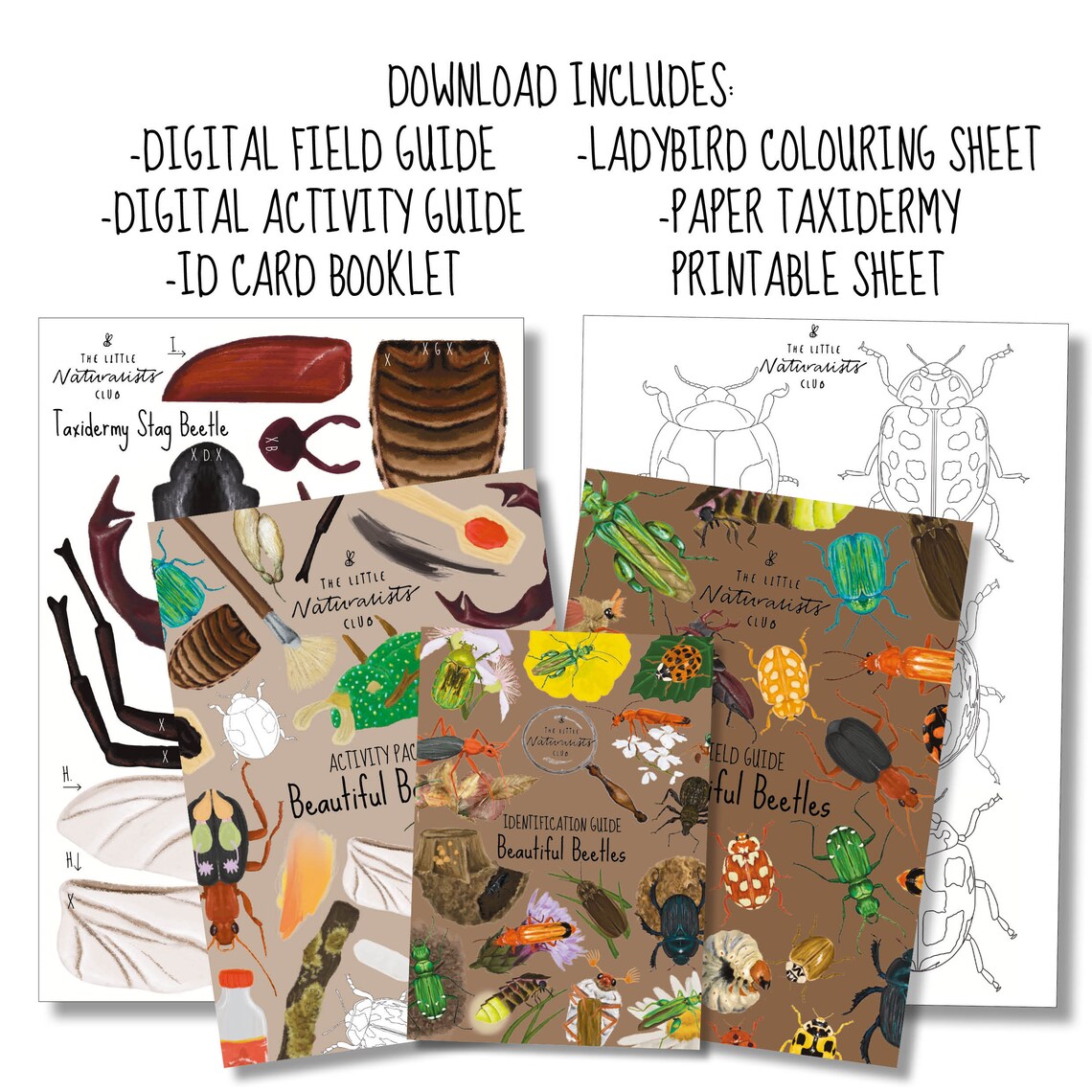 Complete Beetle Unit Study, Spring Learning Pack, Homeschool Bundle ...