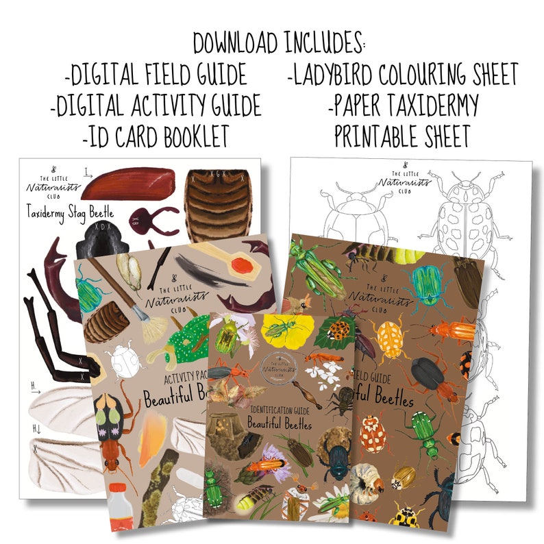 Complete Beetle Unit Study, Spring Learning Pack, Homeschool Bundle ...