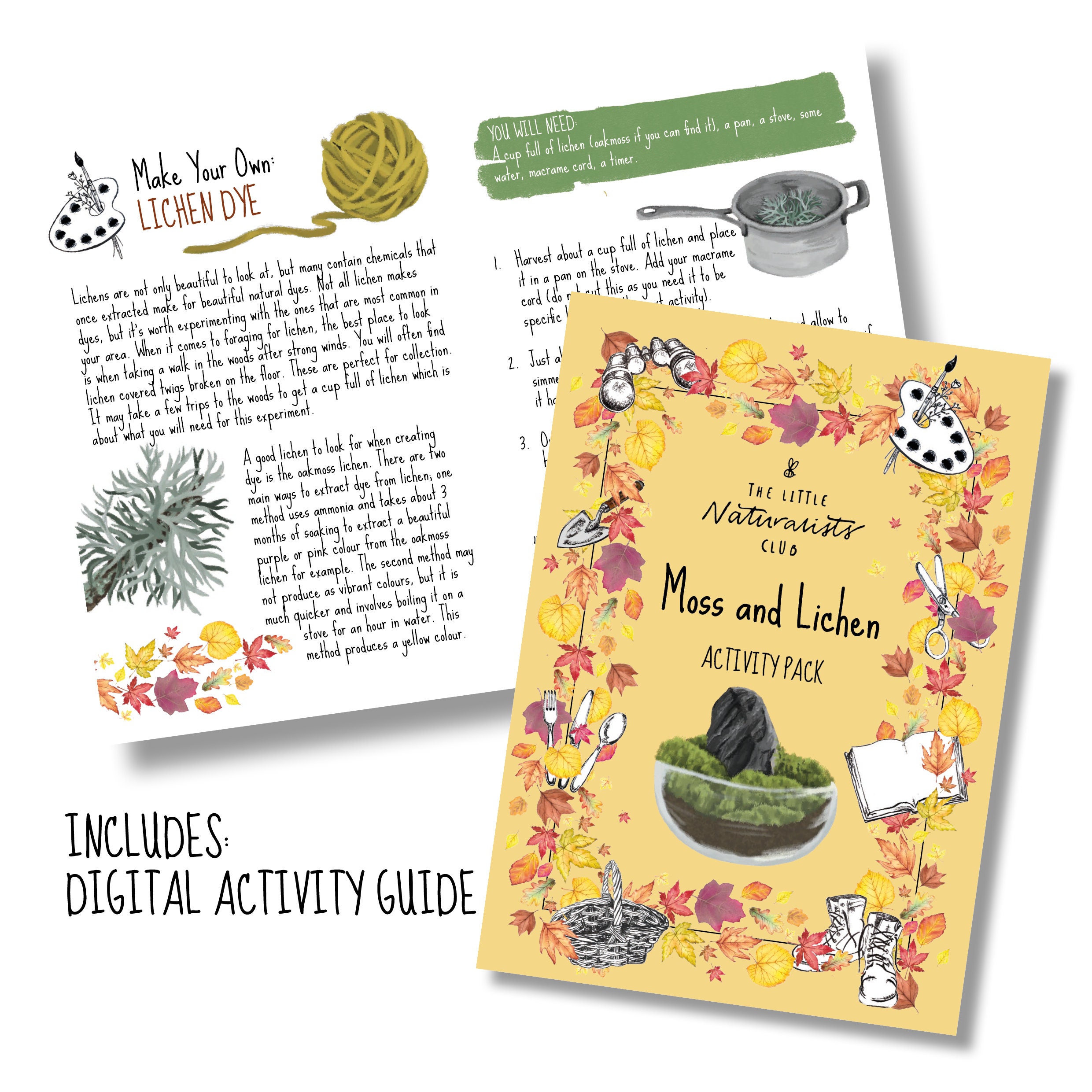 Moss and Lichen Nature Study, Homeschool Printable, Nature Unit, Mosses ...