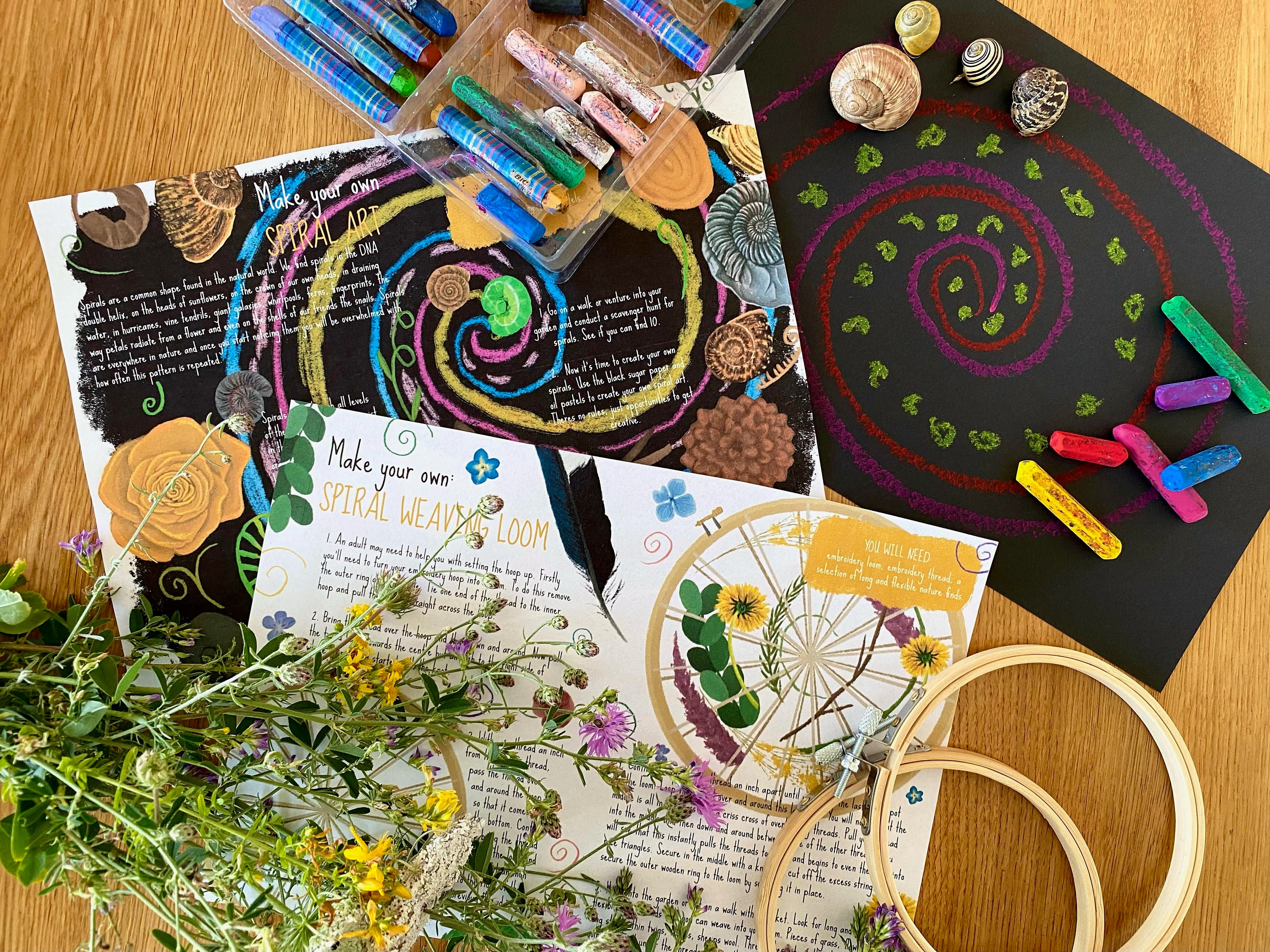 Complete Slugs and Snail Study Unit, Summer Learning Pack, Homeschool ...