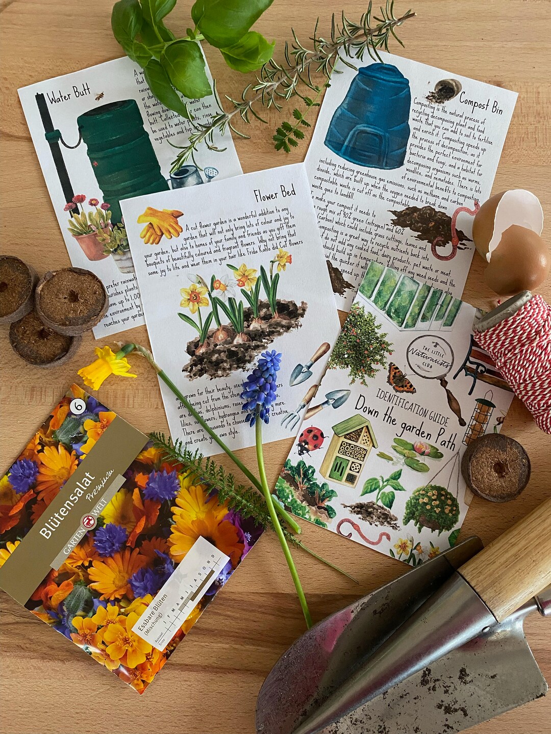 Garden Flash Cards, Garden Unit, Spring Learning Pack, Spring Activity ...