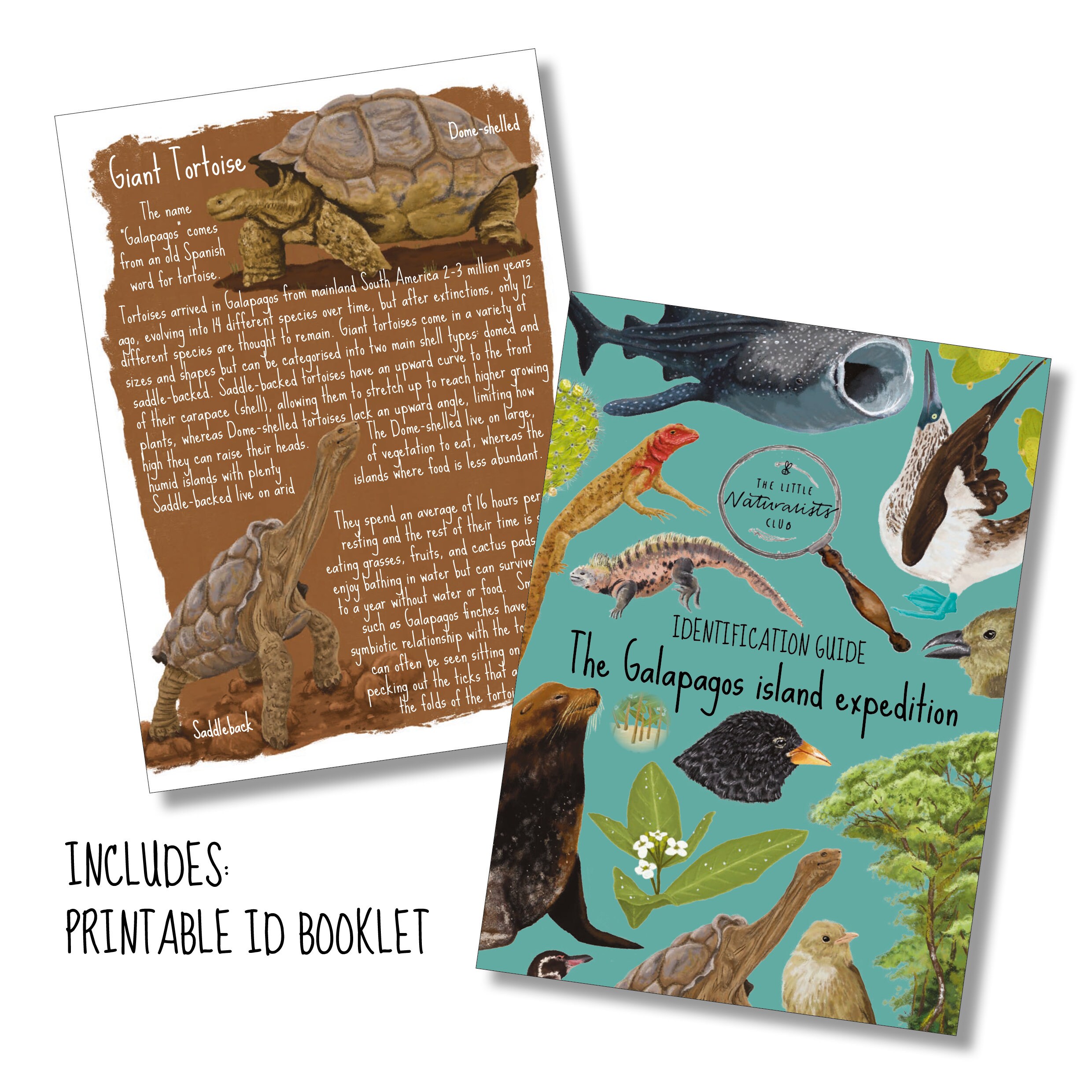Galapagos Identification Cards / Booklet, Geography Unit, Wildlife ...