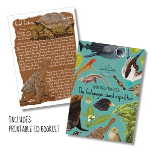 Complete Galapagos Study Unit, Homeschool Bundle, Kids Nature Kit ...