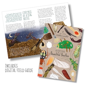 Complete Beetle Unit Study, Spring Learning Pack, Homeschool Bundle ...