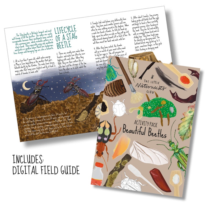 Complete Beetle Unit Study, Spring Learning Pack, Homeschool Bundle ...