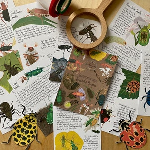 Complete Beetle Unit Study, Spring Learning Pack, Homeschool Bundle ...