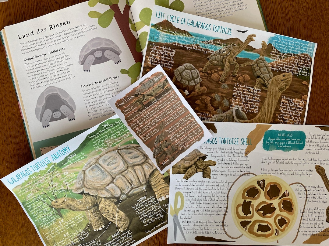Complete Galapagos Study Unit, Homeschool Bundle, Kids Nature Kit ...