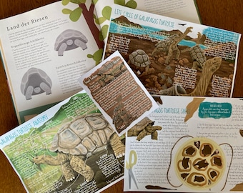 Kids Volcano Poster - Etsy