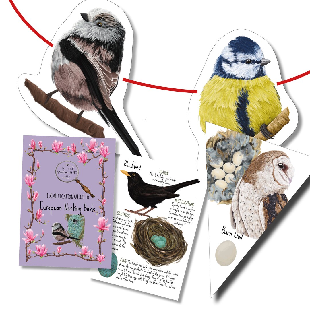 Bird Homeschool 3 Item Mini Bundle, Bird Bunting, Bird Print Out, Bird ...
