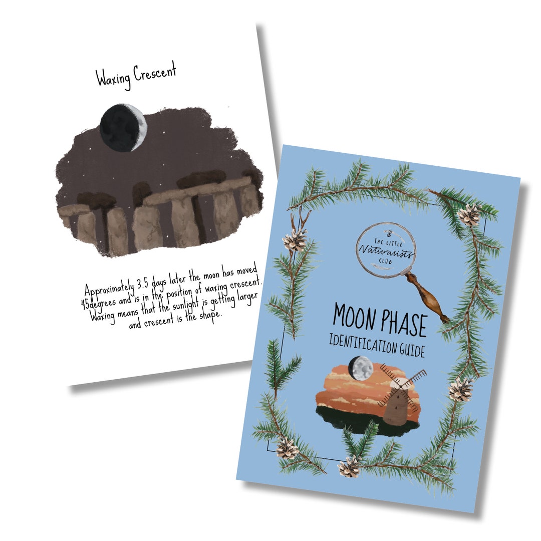 Moon Phases Flash Cards, Phases of the Moon Unit Study, Space ...