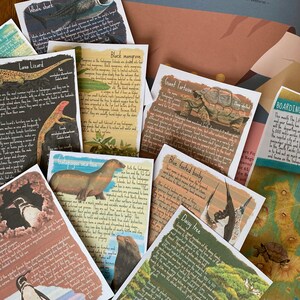 Complete Galapagos Study Unit, Homeschool Bundle, Kids Nature Kit ...