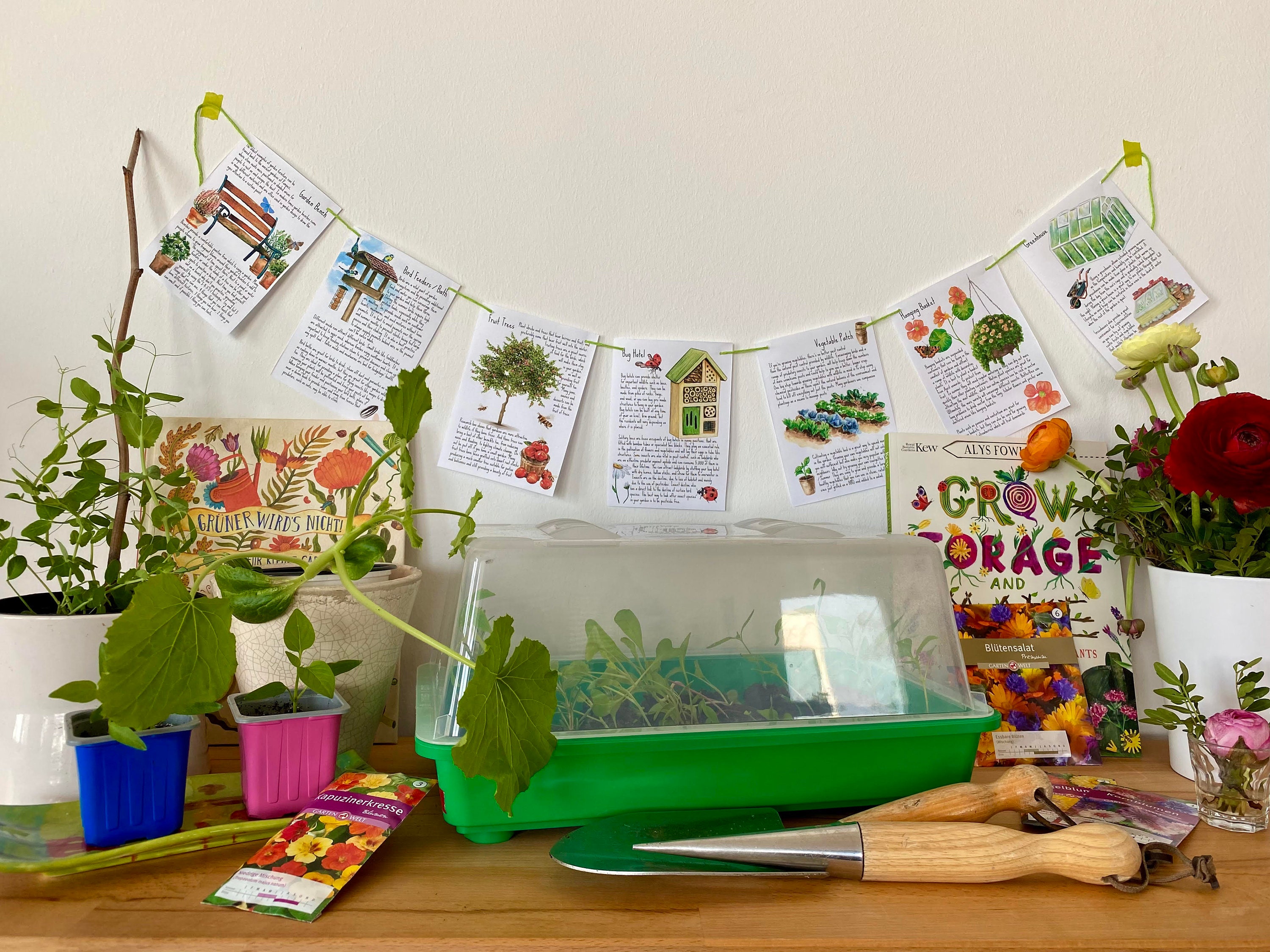 Garden Flash Cards, Garden Unit, Spring Learning Pack, Spring Activity ...