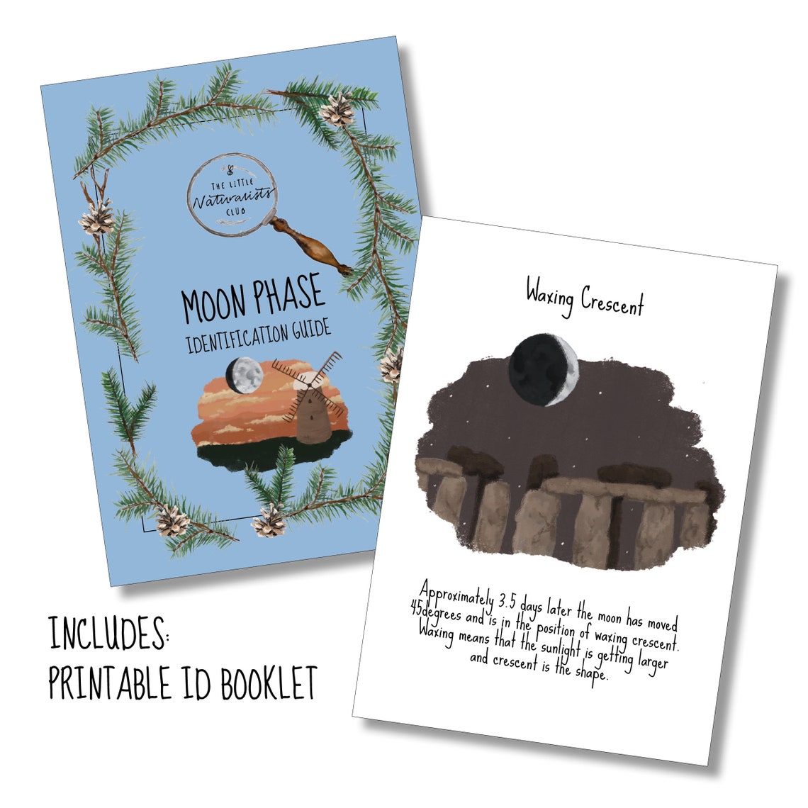 Moon Phases Flash Cards, Phases of the Moon Unit Study, Space ...