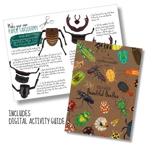 Complete Beetle Unit Study, Spring Learning Pack, Homeschool Bundle ...