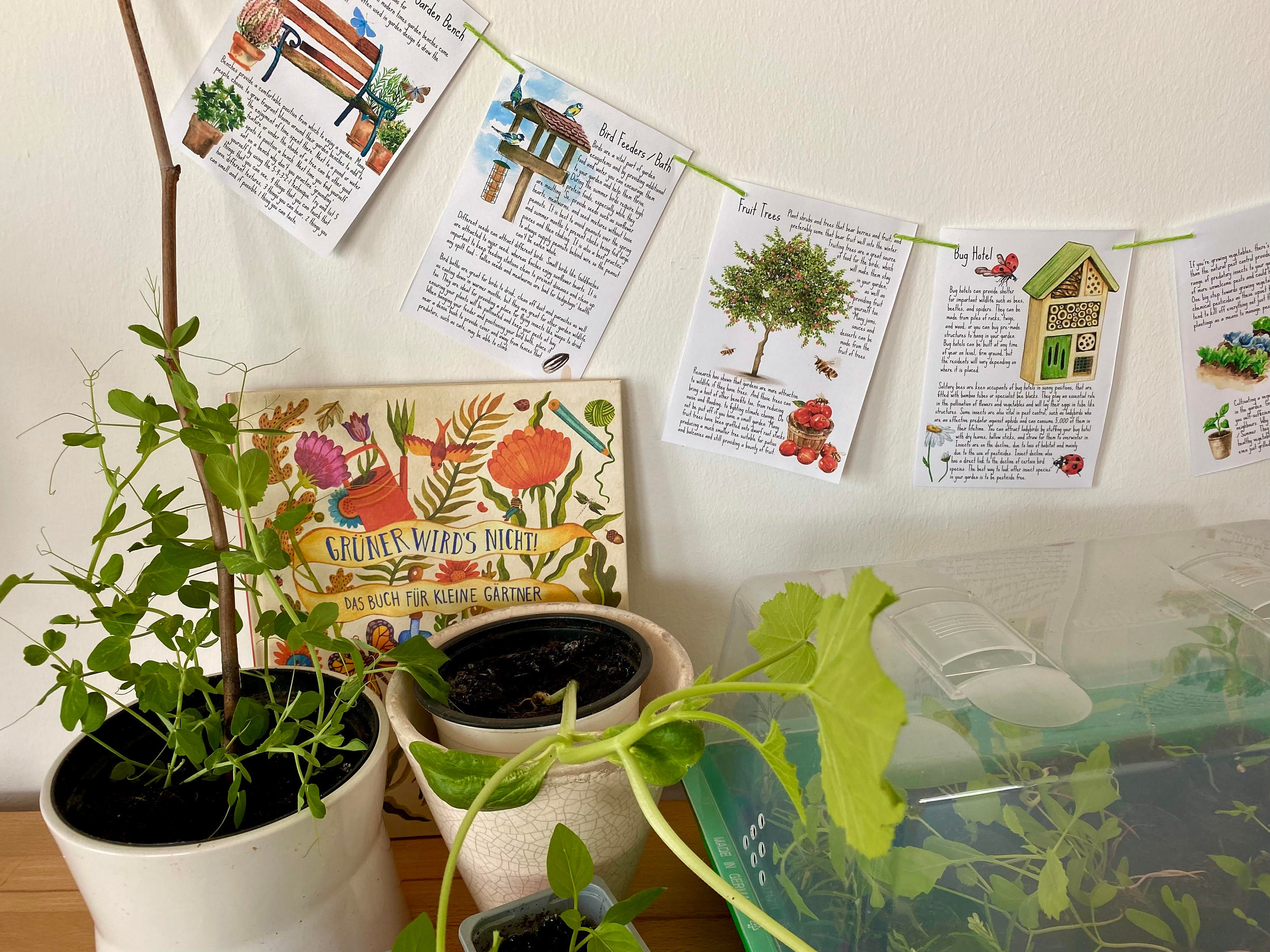 Garden Flash Cards, Garden Unit, Spring Learning Pack, Spring Activity ...