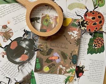 Autumn Leaf Poster Charlotte Mason Nature Study - Etsy