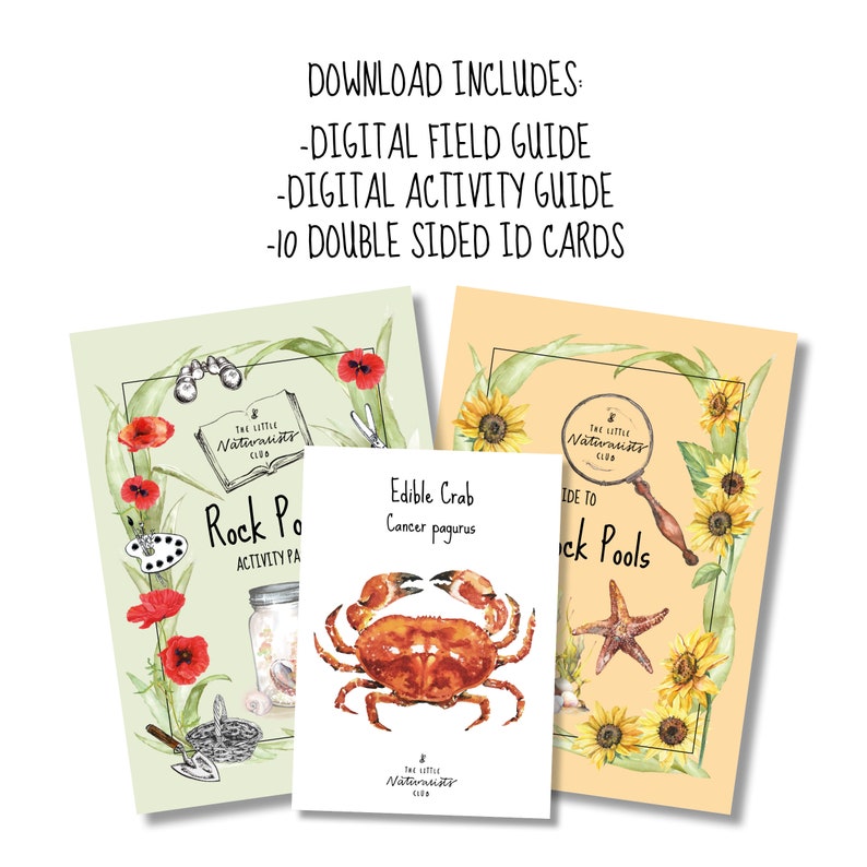 Complete Rockpool Unit Study, Wildlife Learning, Coastal Wildlife ...