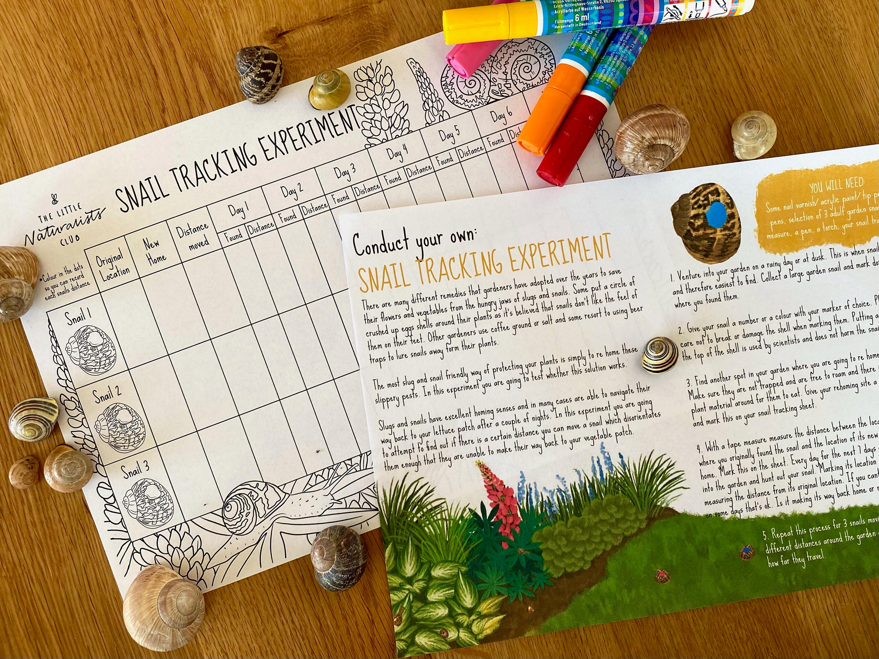 Complete Slugs and Snail Study Unit Summer Learning Pack - Etsy