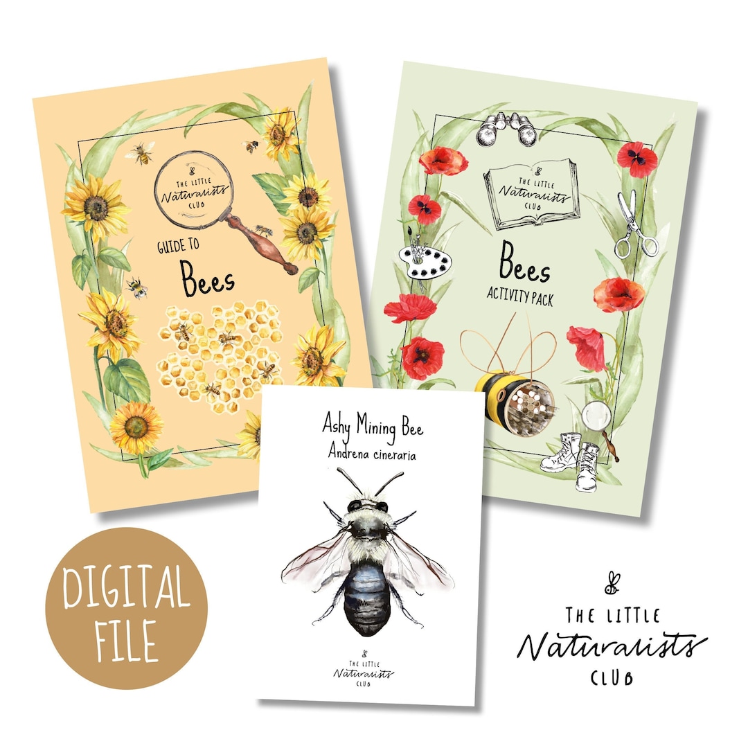 Complete Bee Unit Study, Spring Learning Pack, Bee Life Cycle, Bee ...