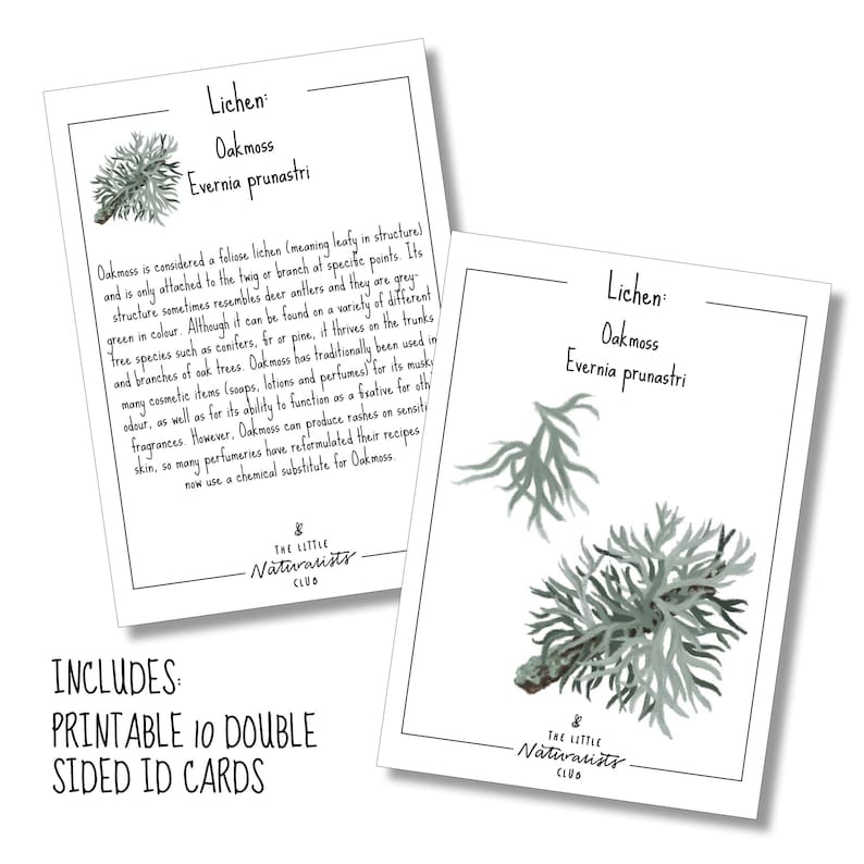 Moss and Lichen Nature Study, Homeschool Printable, Nature Unit, Mosses ...