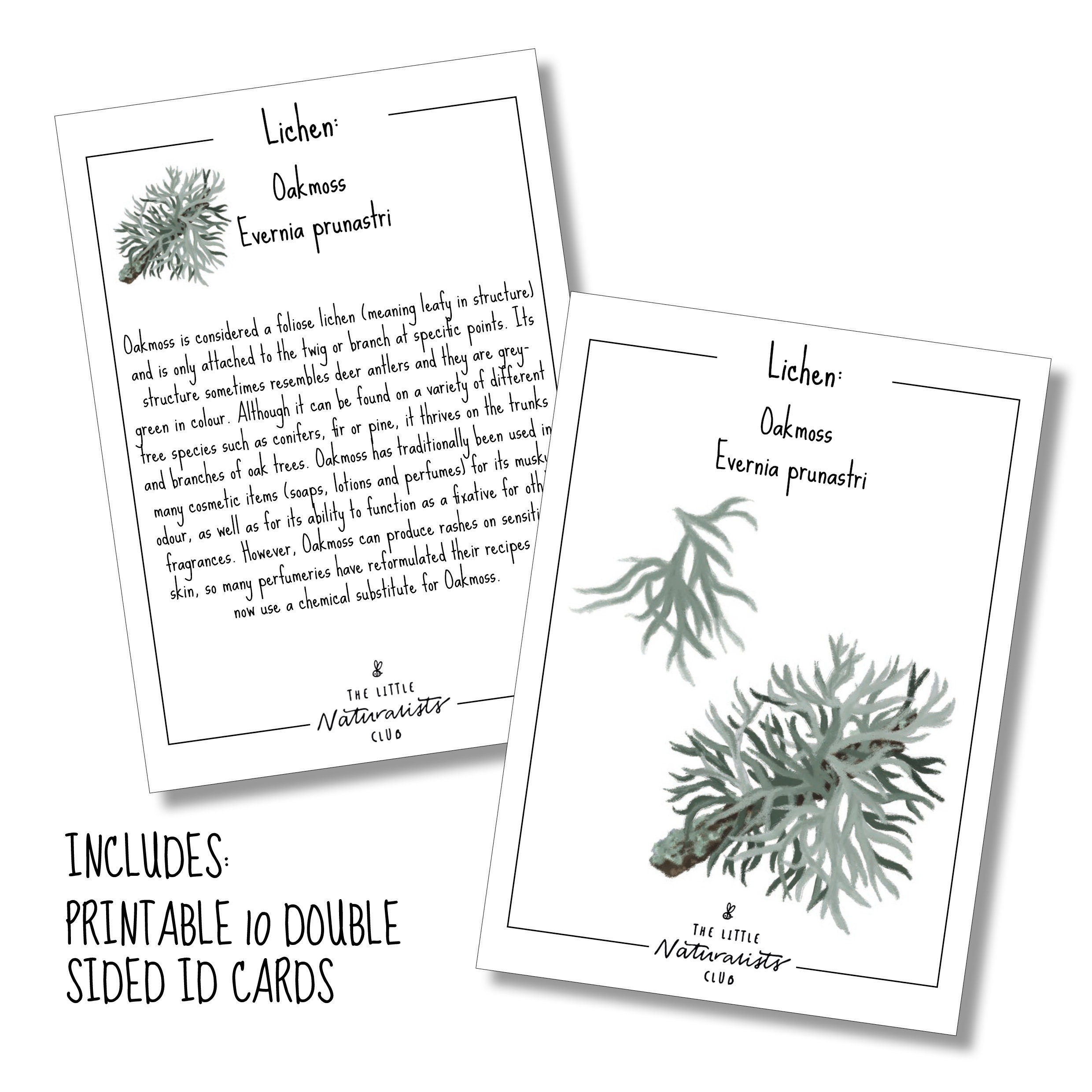 Moss and Lichen Nature Study, Homeschool Printable, Nature Unit, Mosses ...