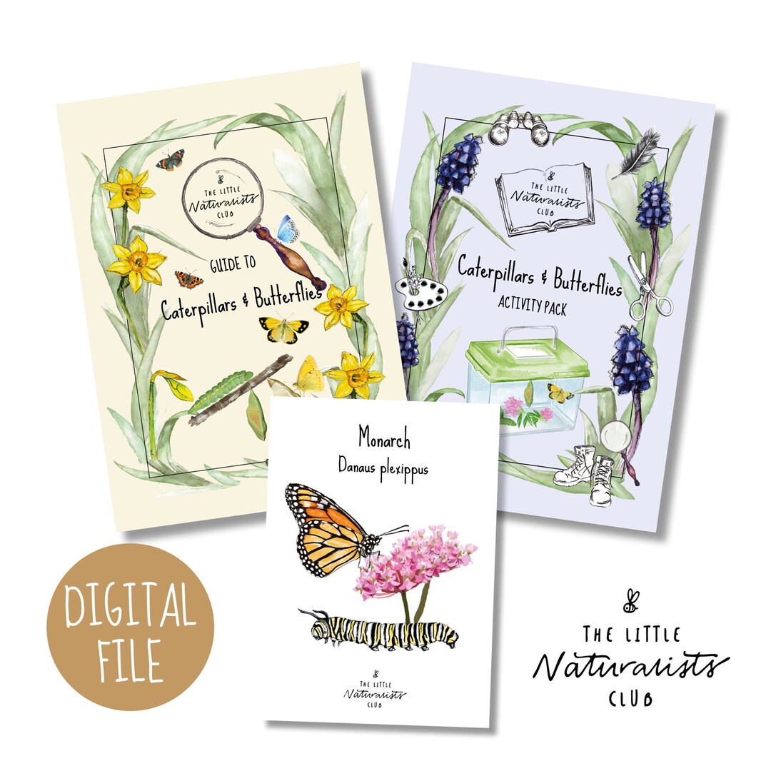 Complete Butterfly Unit Study, Butterflies Printable, Spring Unit Study ...