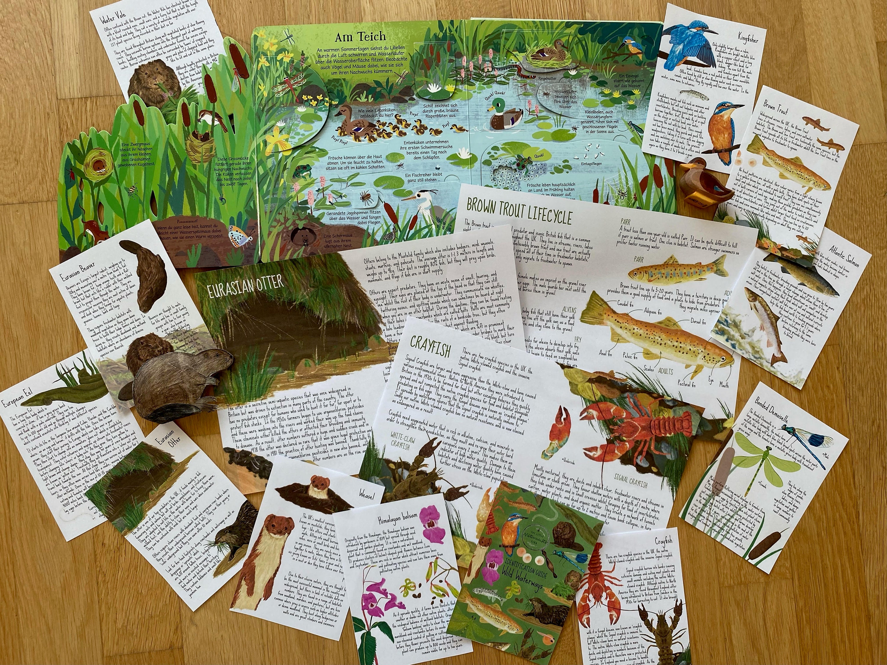Complete Rivers Unit Study, Waterways Homeschool, Summer Learning Pack ...