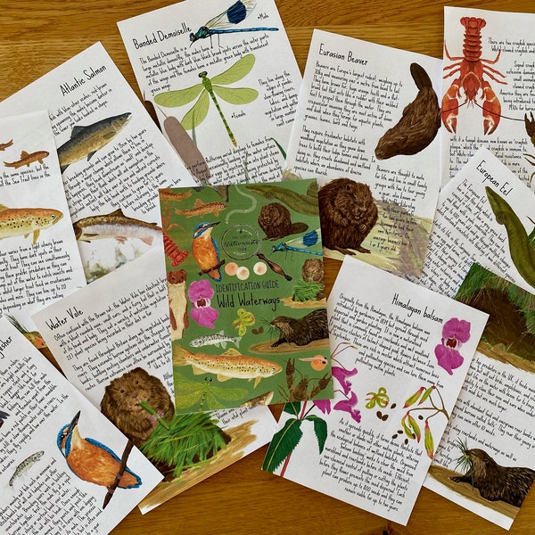 Nature Theme Cards - Etsy