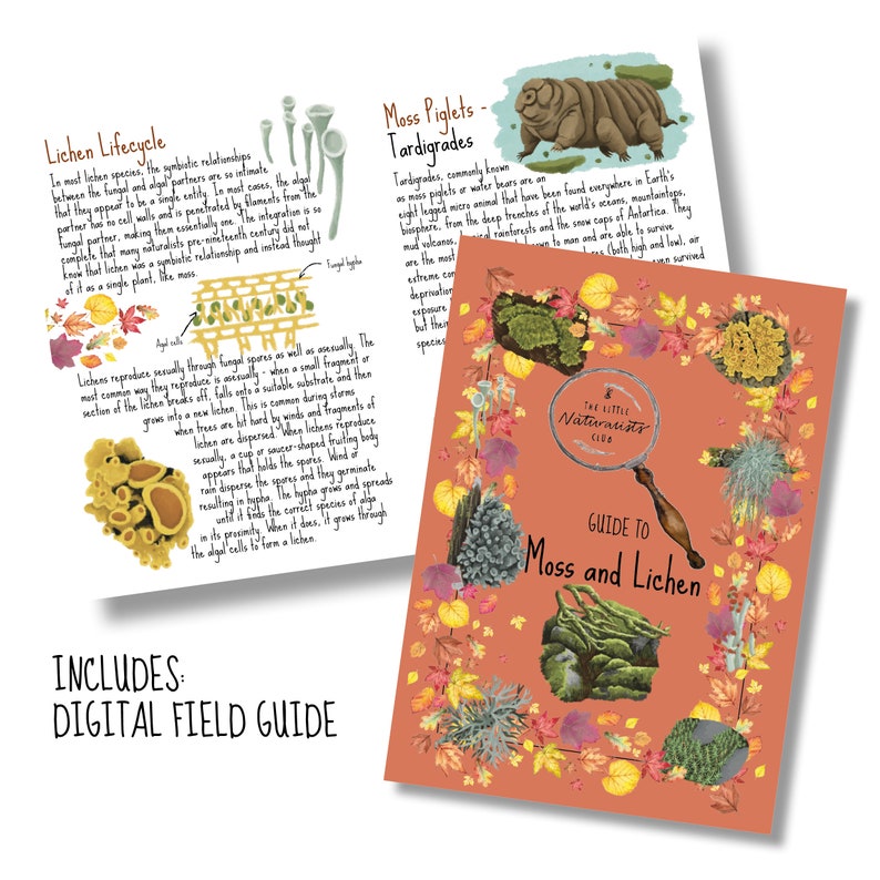 Moss and Lichen Nature Study, Homeschool Printable, Nature Unit, Mosses ...