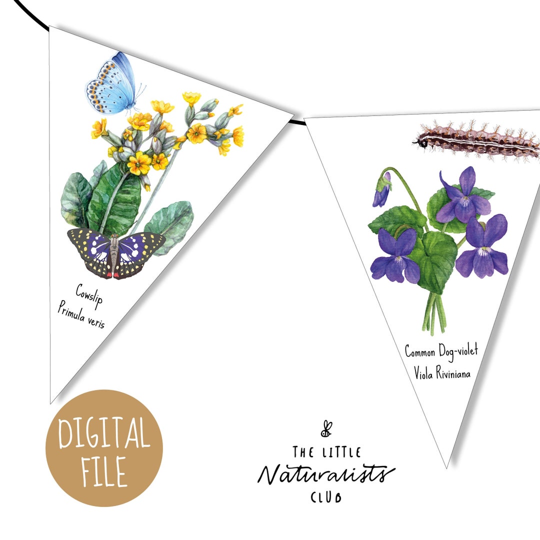 Printable Wildflower Bunting, Flower Garland, Spring Unit Study ...