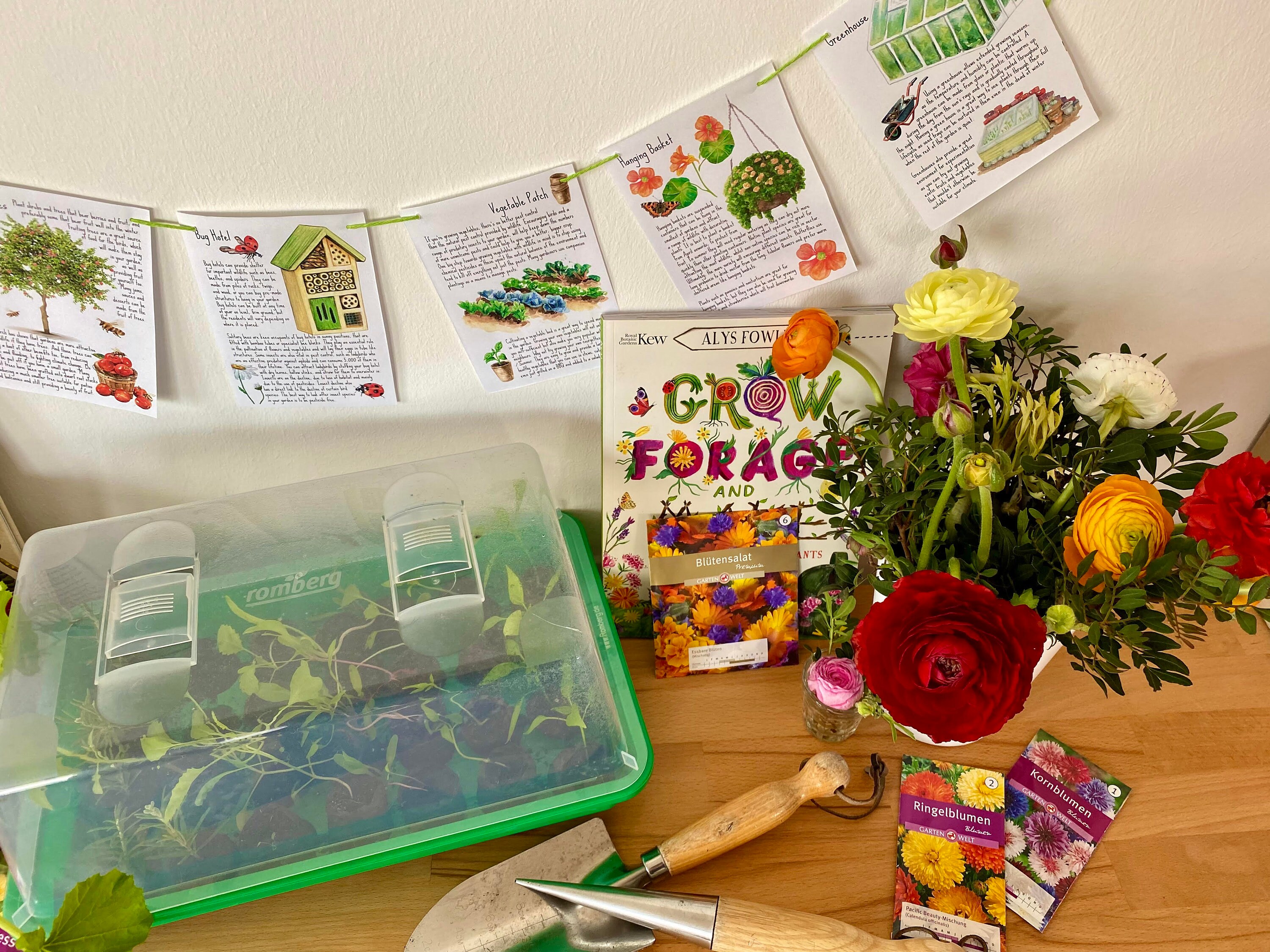 Garden Flash Cards, Garden Unit, Spring Learning Pack, Spring Activity ...