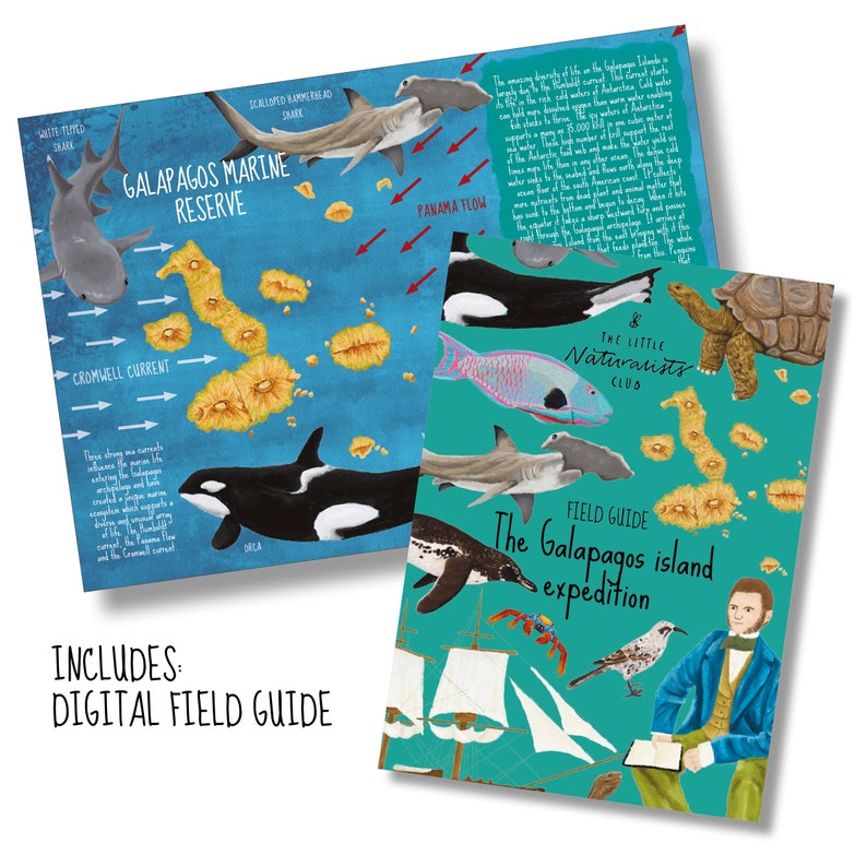 Complete Galapagos Study Unit Homeschool Bundle Kids Nature - Etsy
