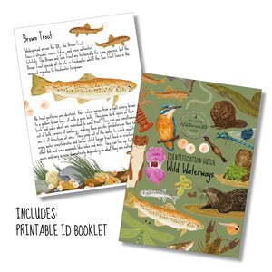 Complete Rivers Unit Study, Waterways Homeschool, Summer Learning Pack ...