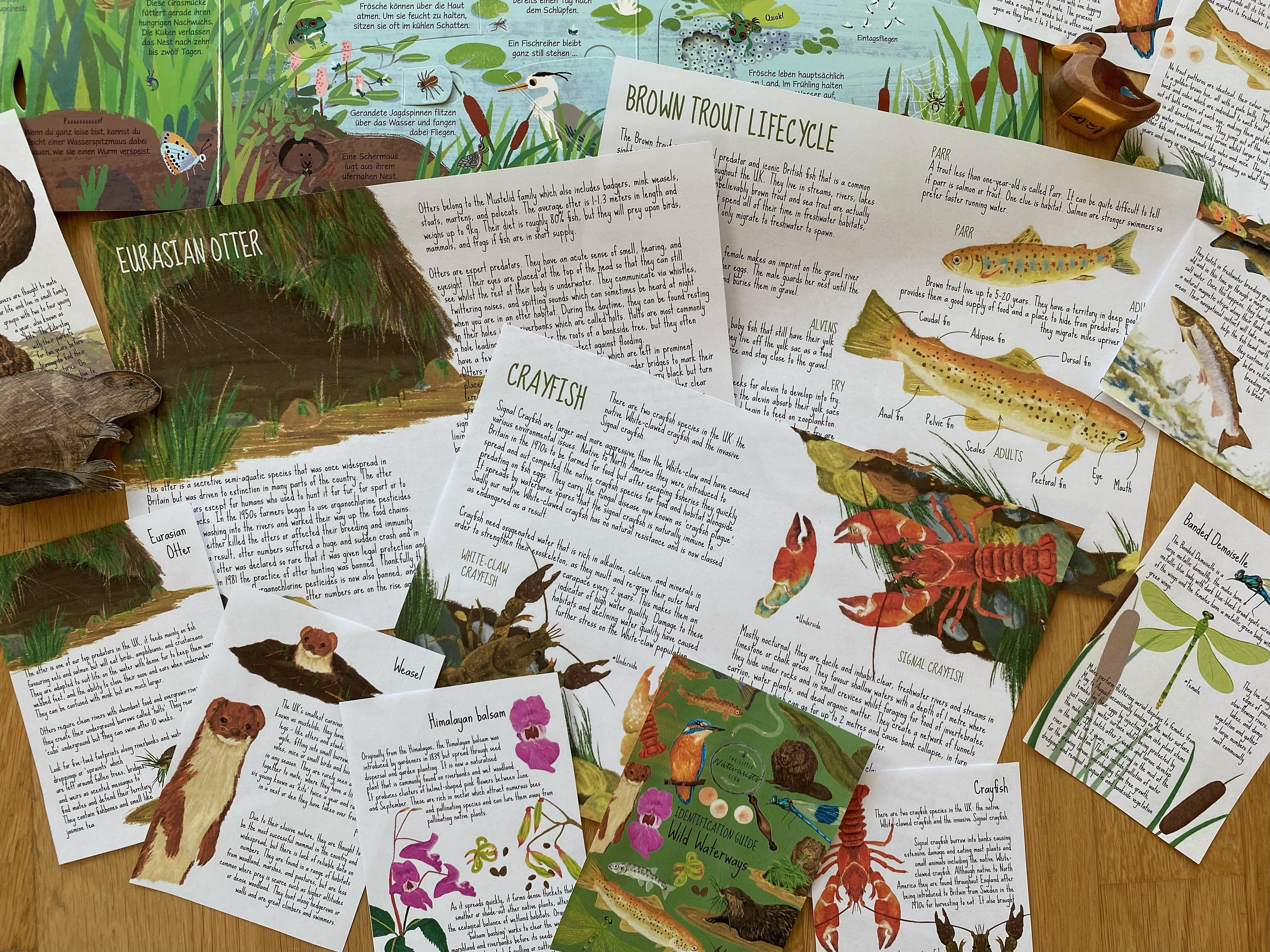 Complete Rivers Unit Study, Waterways Homeschool, Summer Learning Pack ...