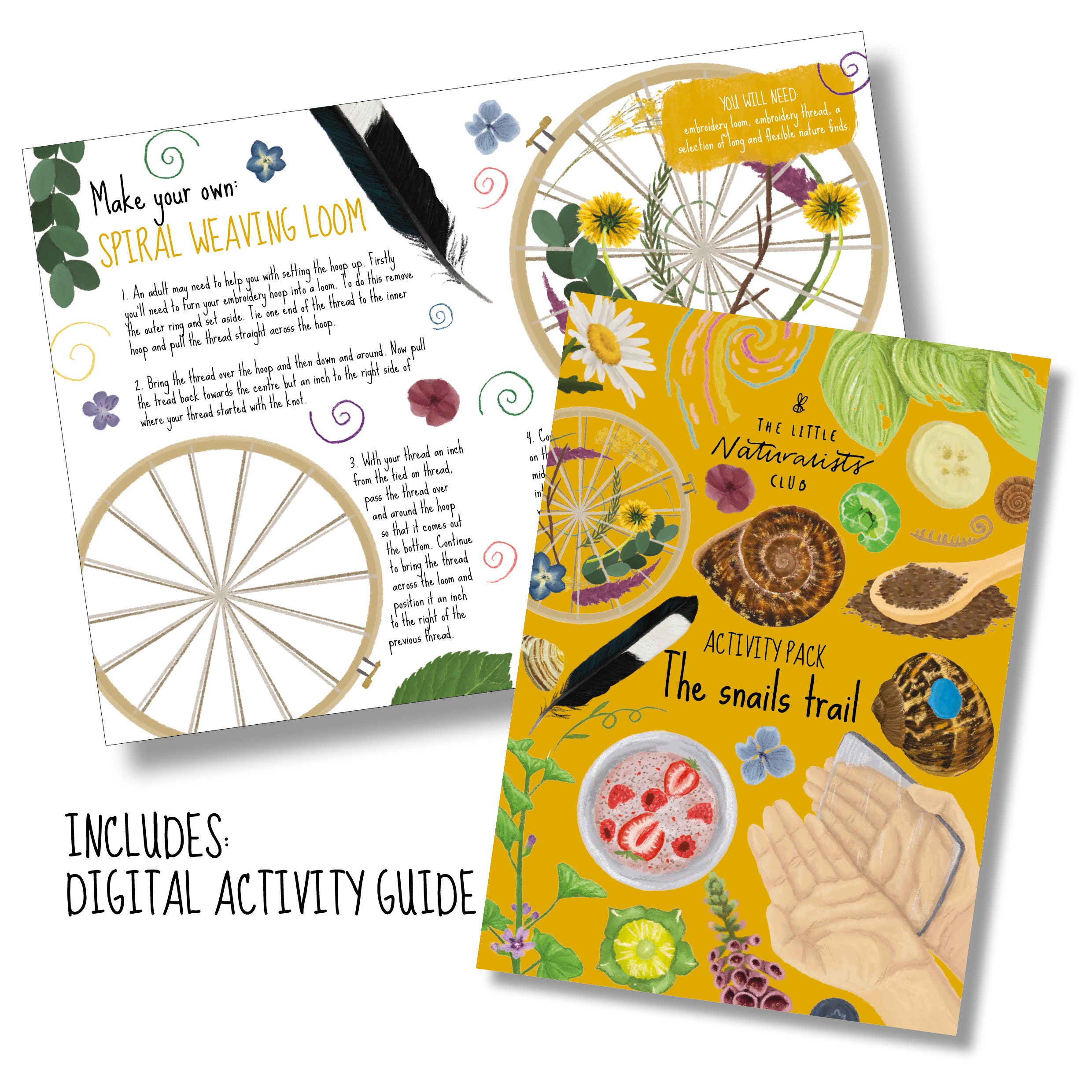 Complete Slugs and Snail Study Unit Summer Learning Pack - Etsy