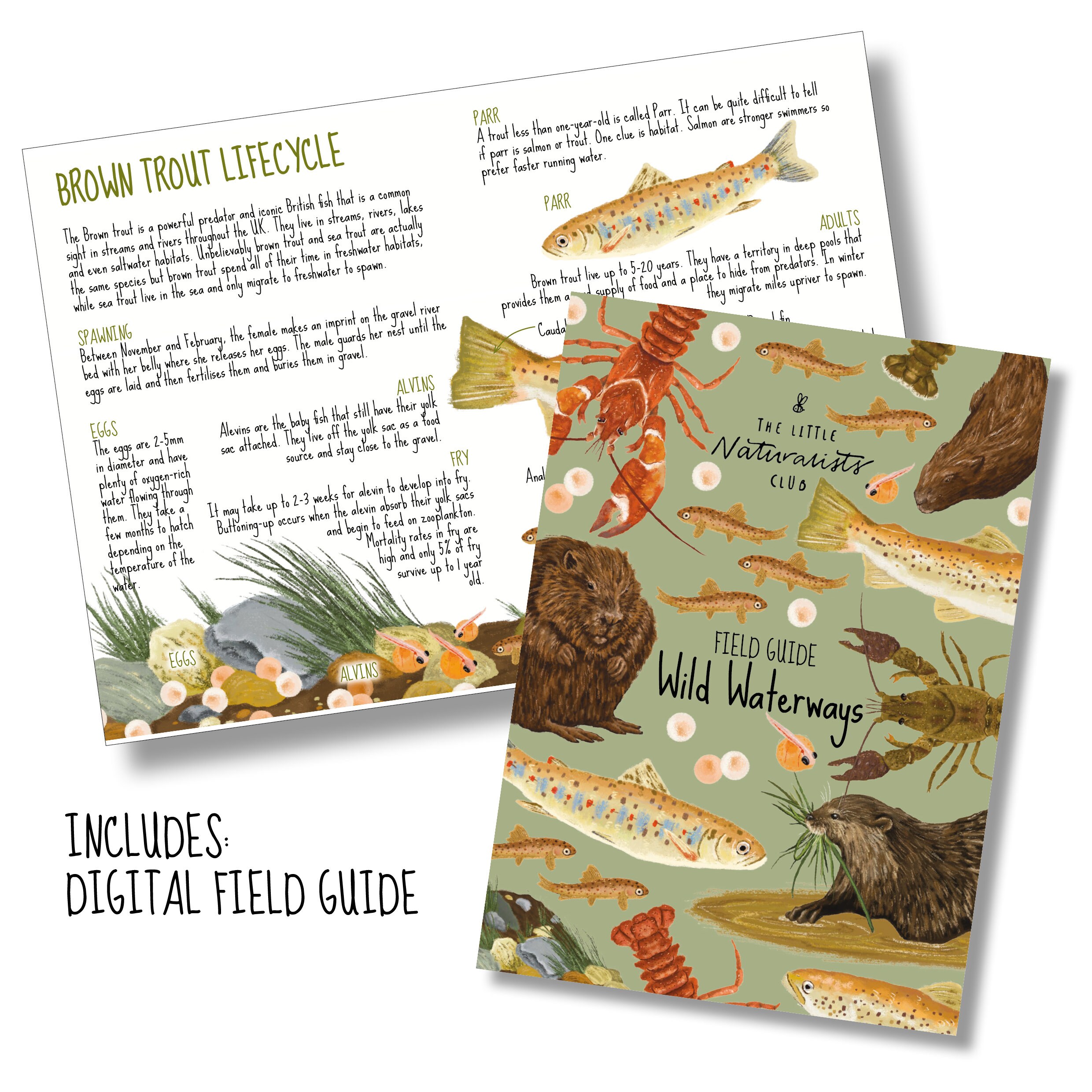 Complete Rivers Unit Study Waterways Homeschool Summer - Etsy