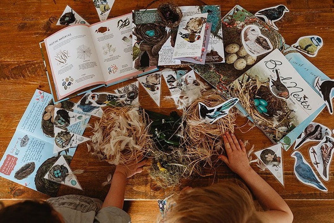 Complete Nesting Birds Study Unit, Montessori, Waldorf, Forest School ...